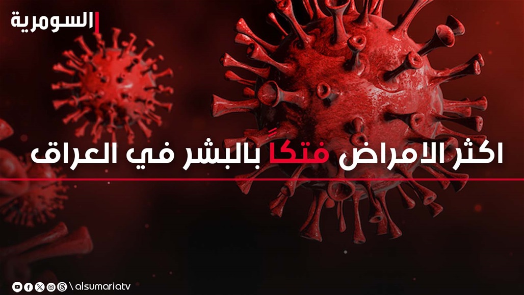 الصحة تعلق على الإصابة بمرض الملاريا في العراق | محليات